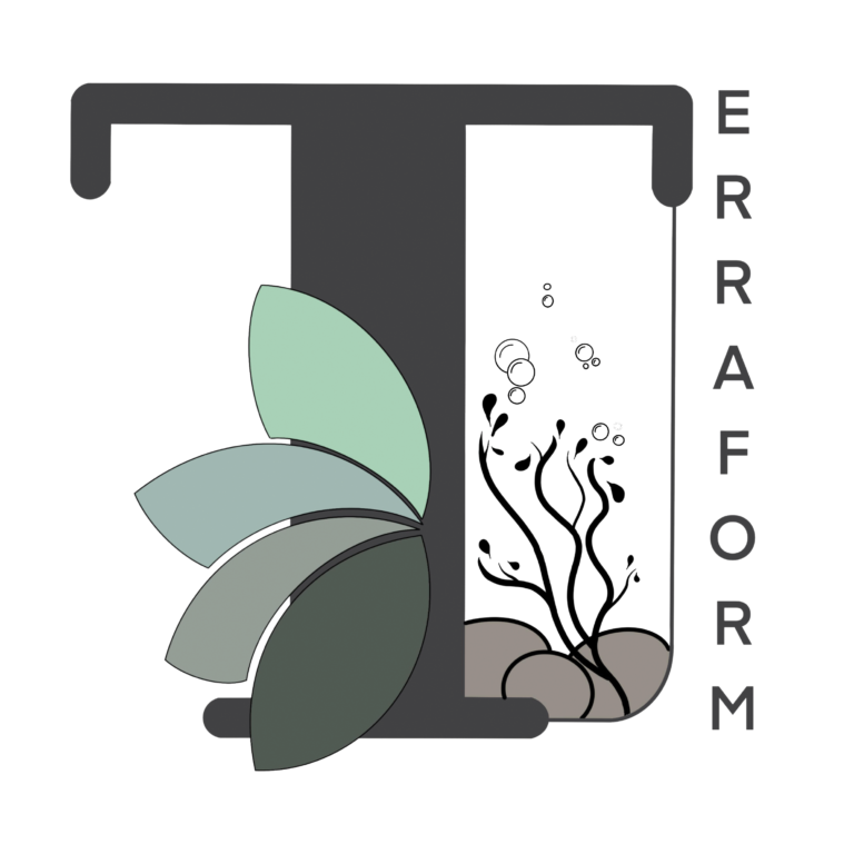 Terraform: Exquisite Terrariums, Aquariums & Paludariums in Chennai